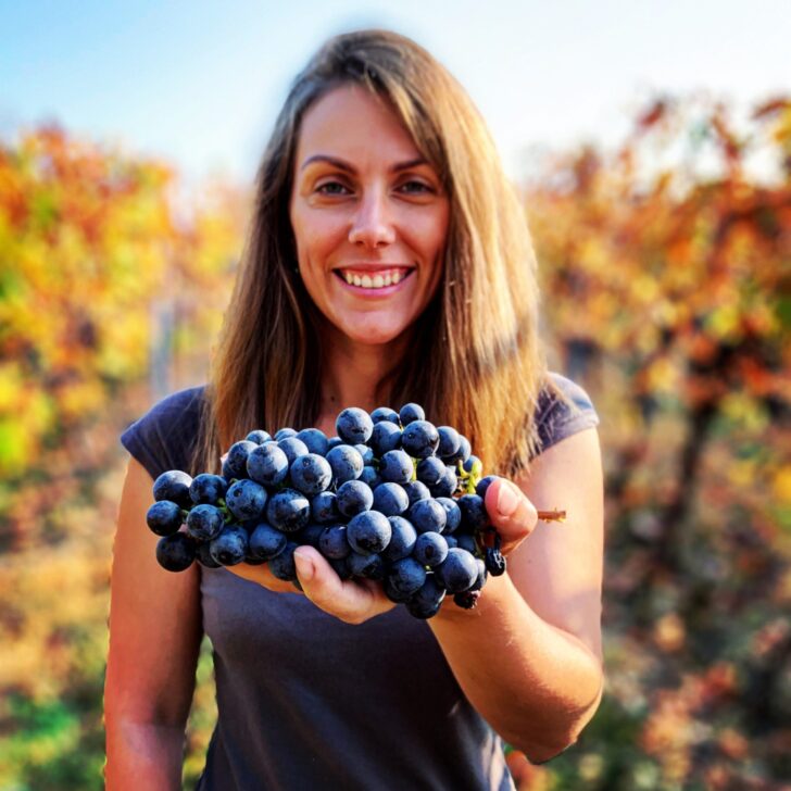 Krisztina ROSTA – VINARIUM